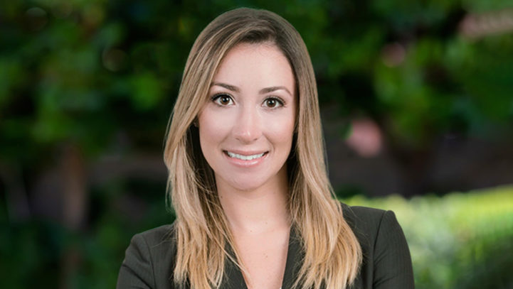 Services | LSN Law, P.A.